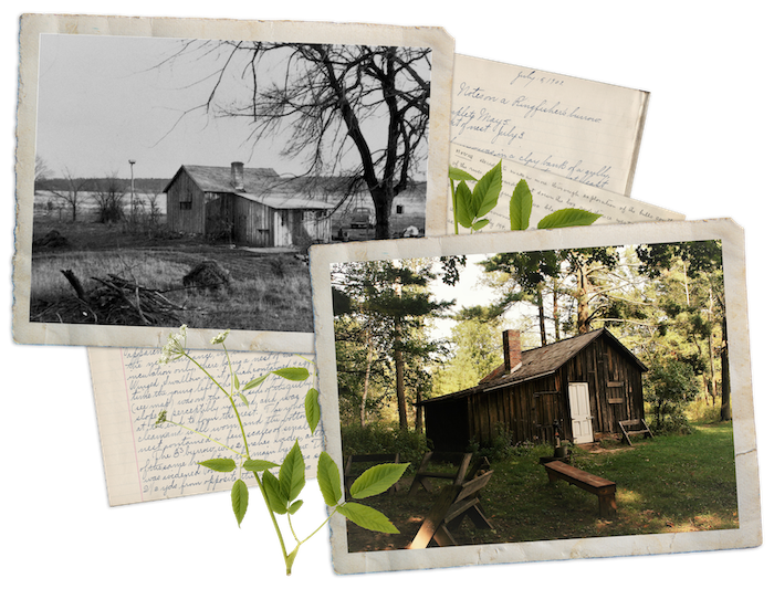 The Leopold-Pines Conservation Area | Preserving a Legacy
