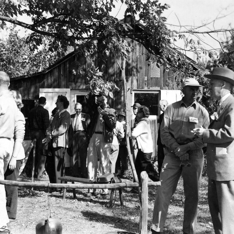 Who Was Aldo Leopold? | A Visionary Conservationist