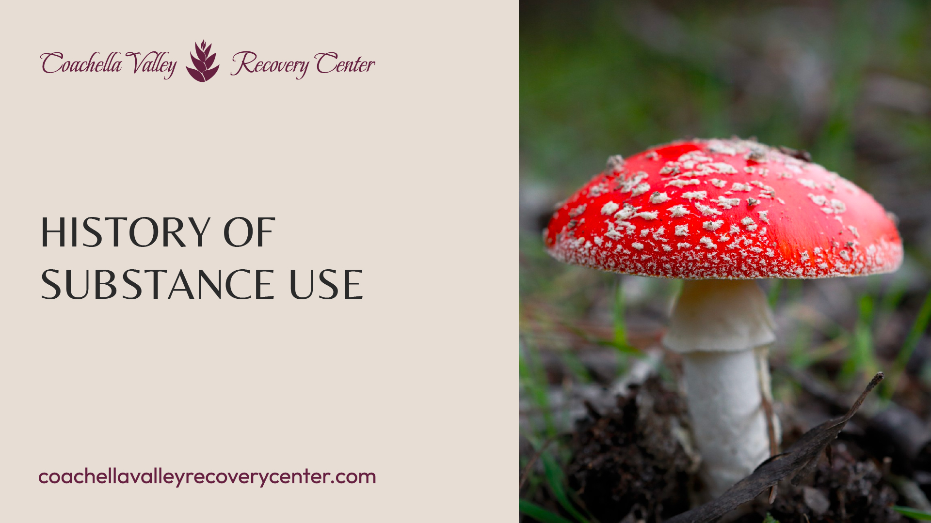 History Of Substance Use