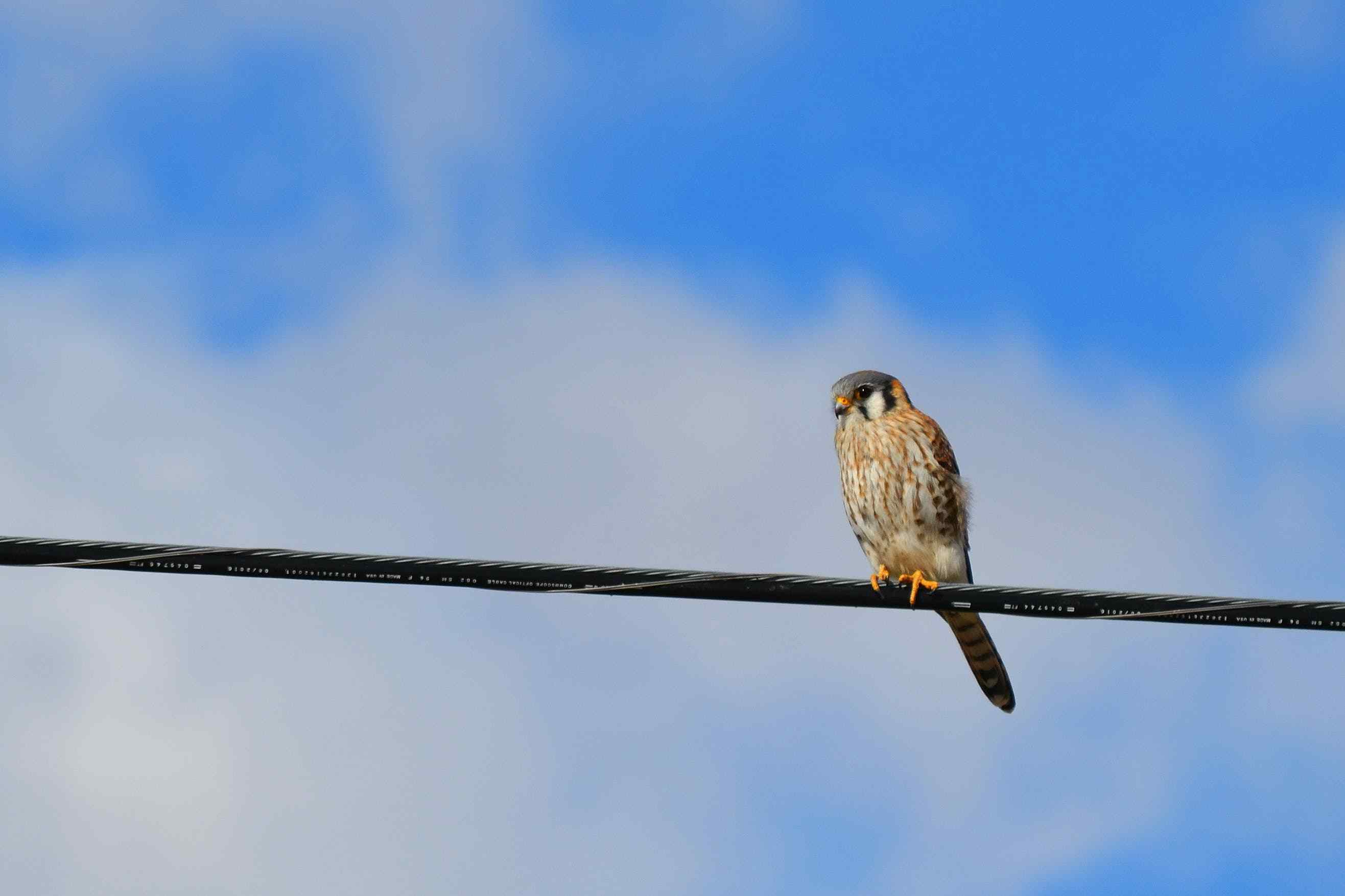 The Promises Of Recovery: What To Expect?