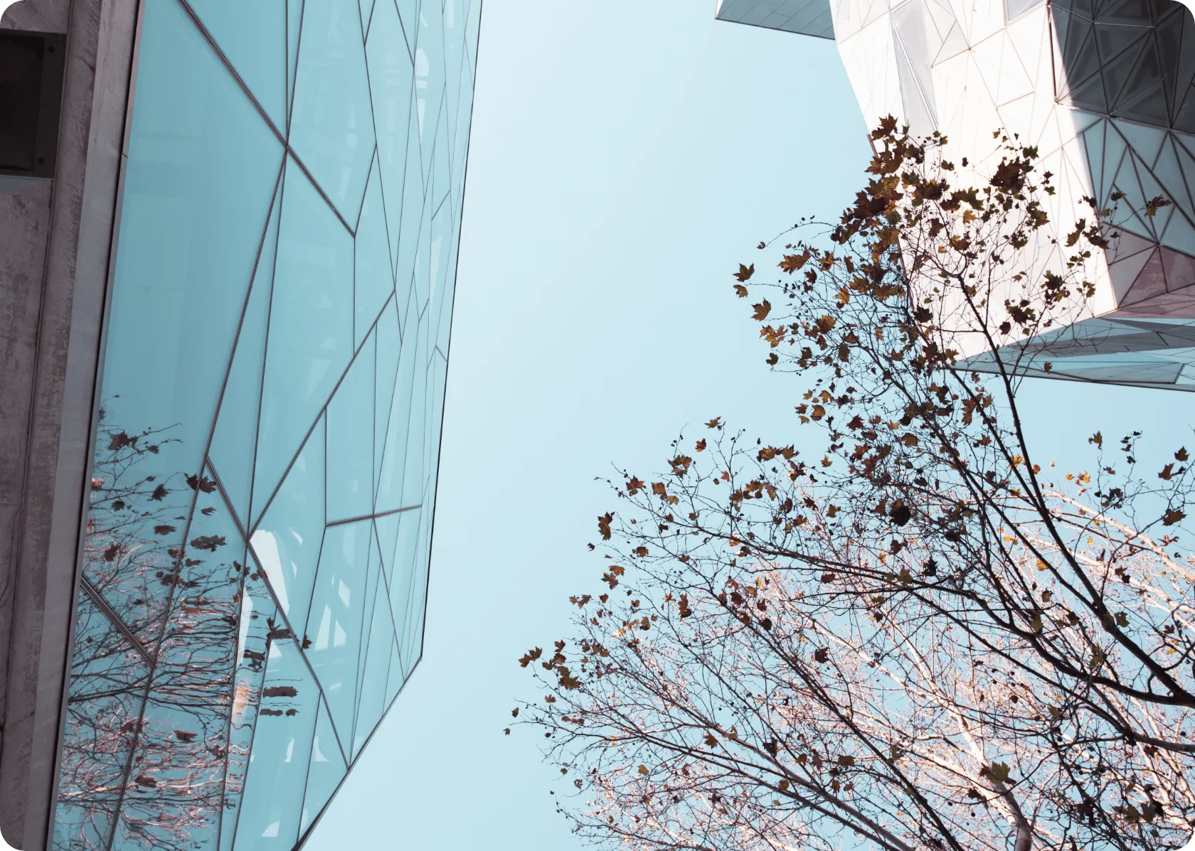 Quipex | Harness the power of Building Data