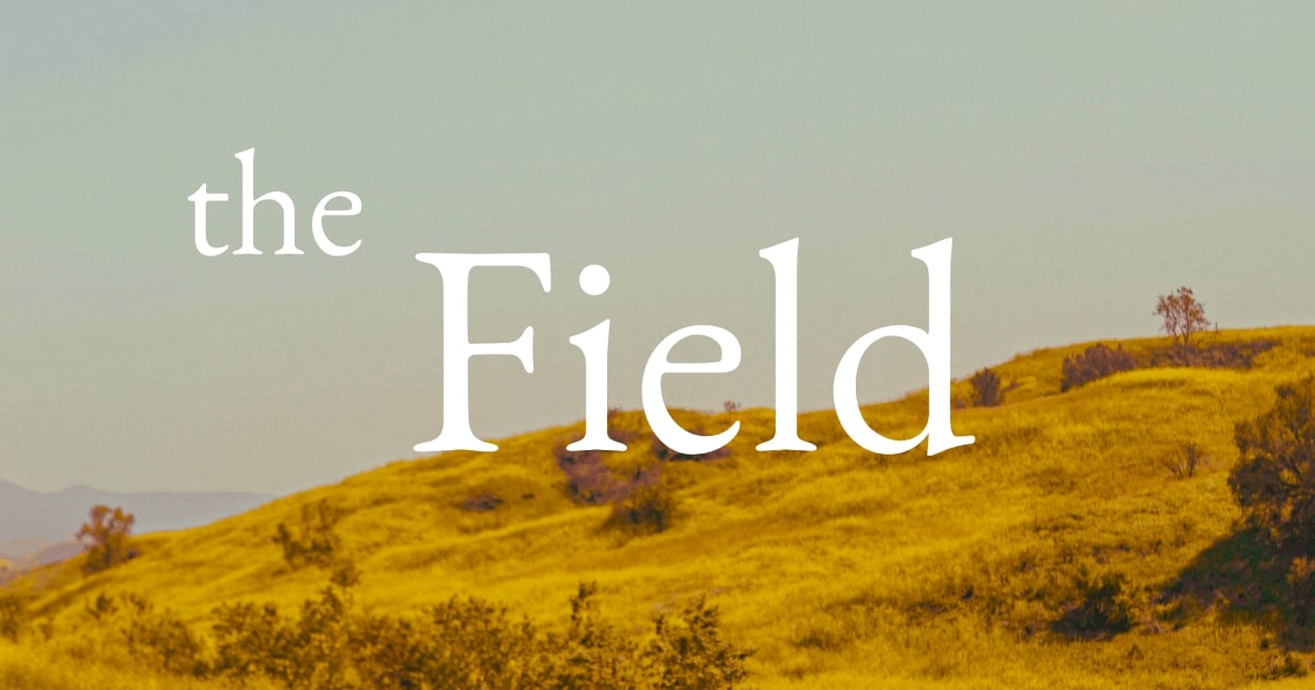 The Field | A Collaborative Design Studio
