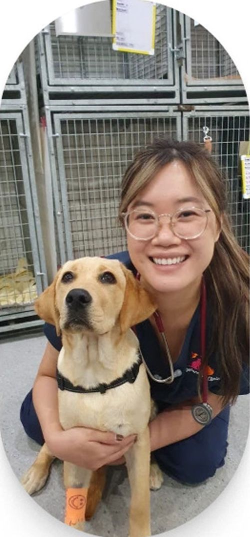 Team | Greystanes Veterinary Clinic