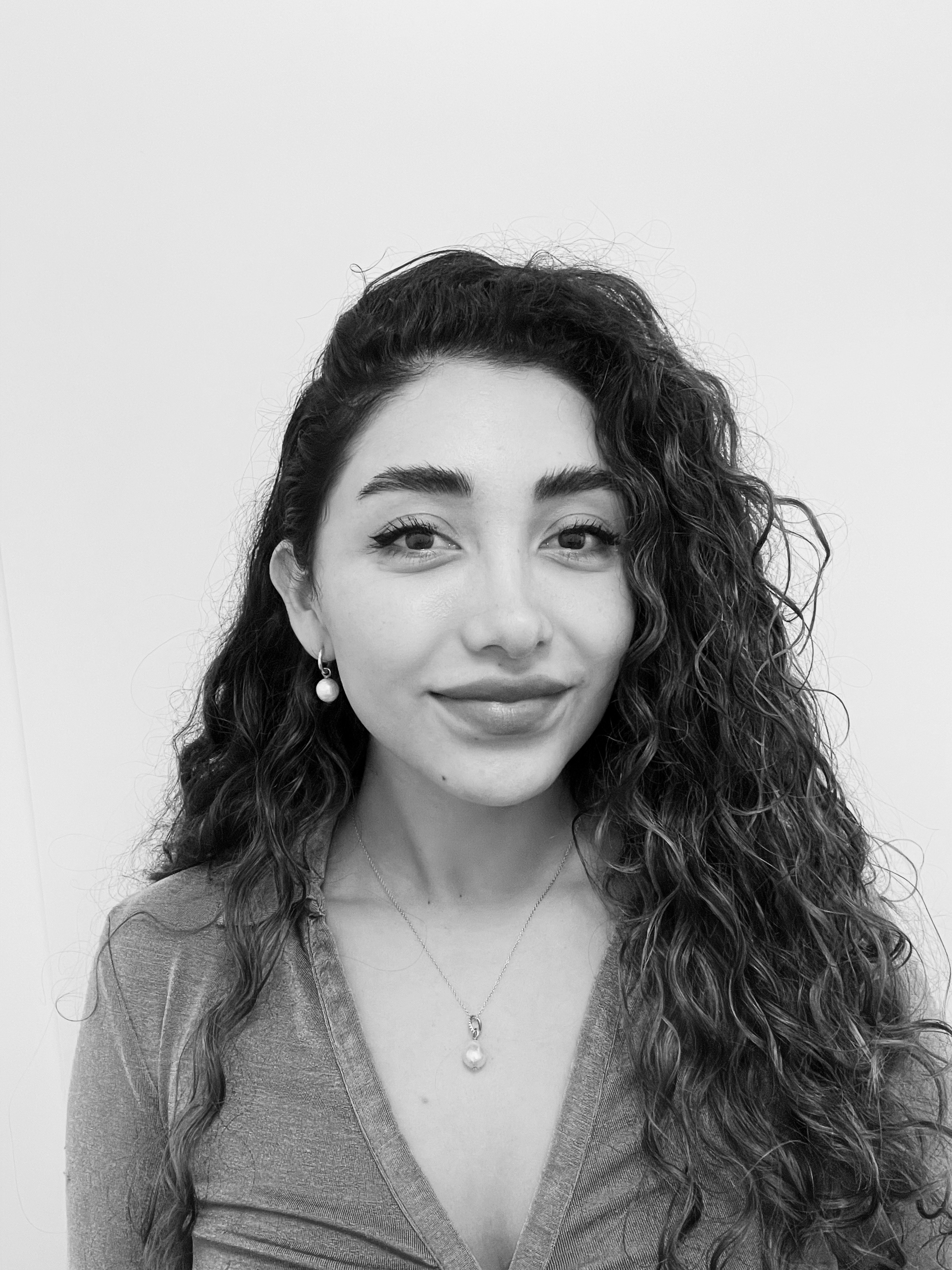 ZenML - Culture eats strategy for breakfast