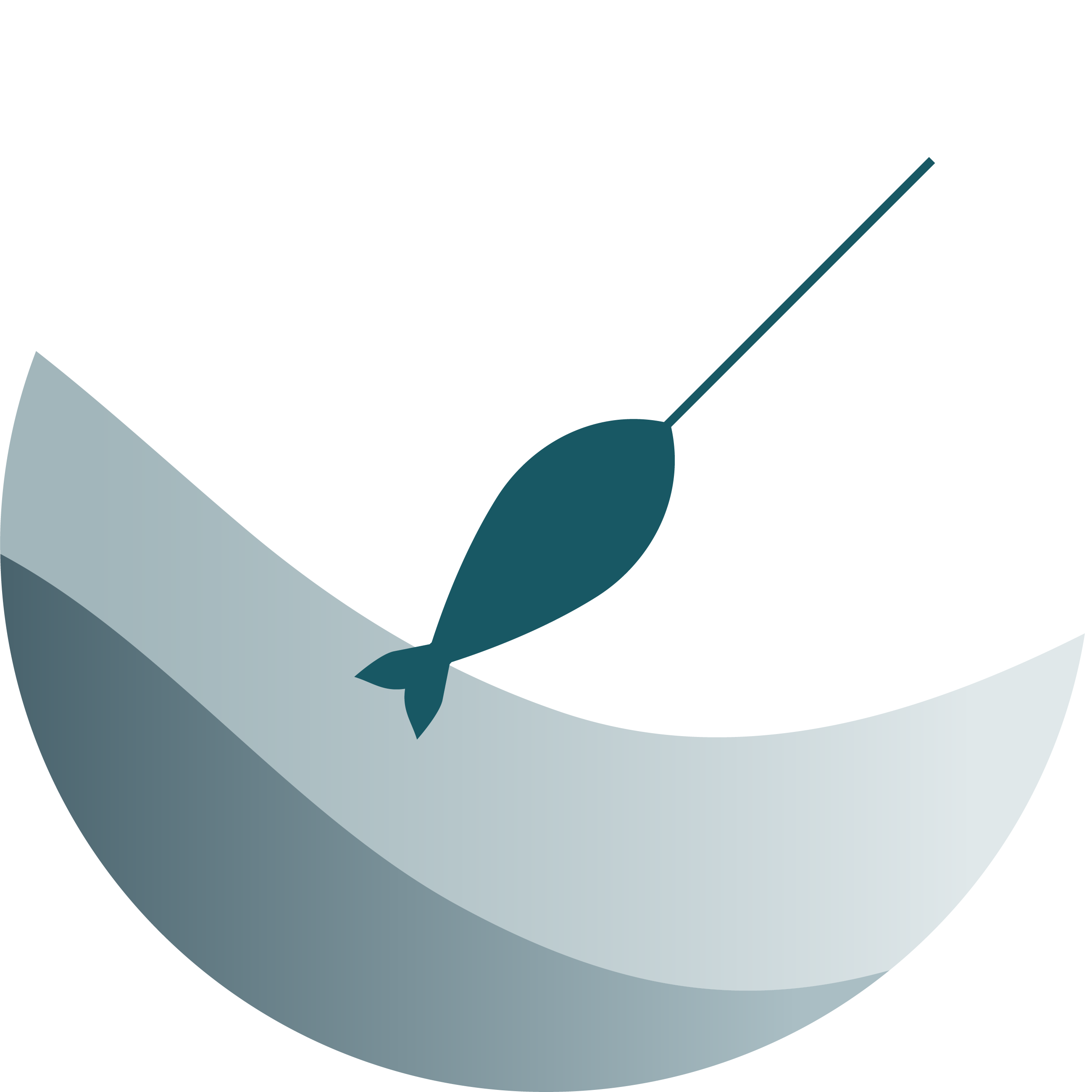 Solutions for wild catch