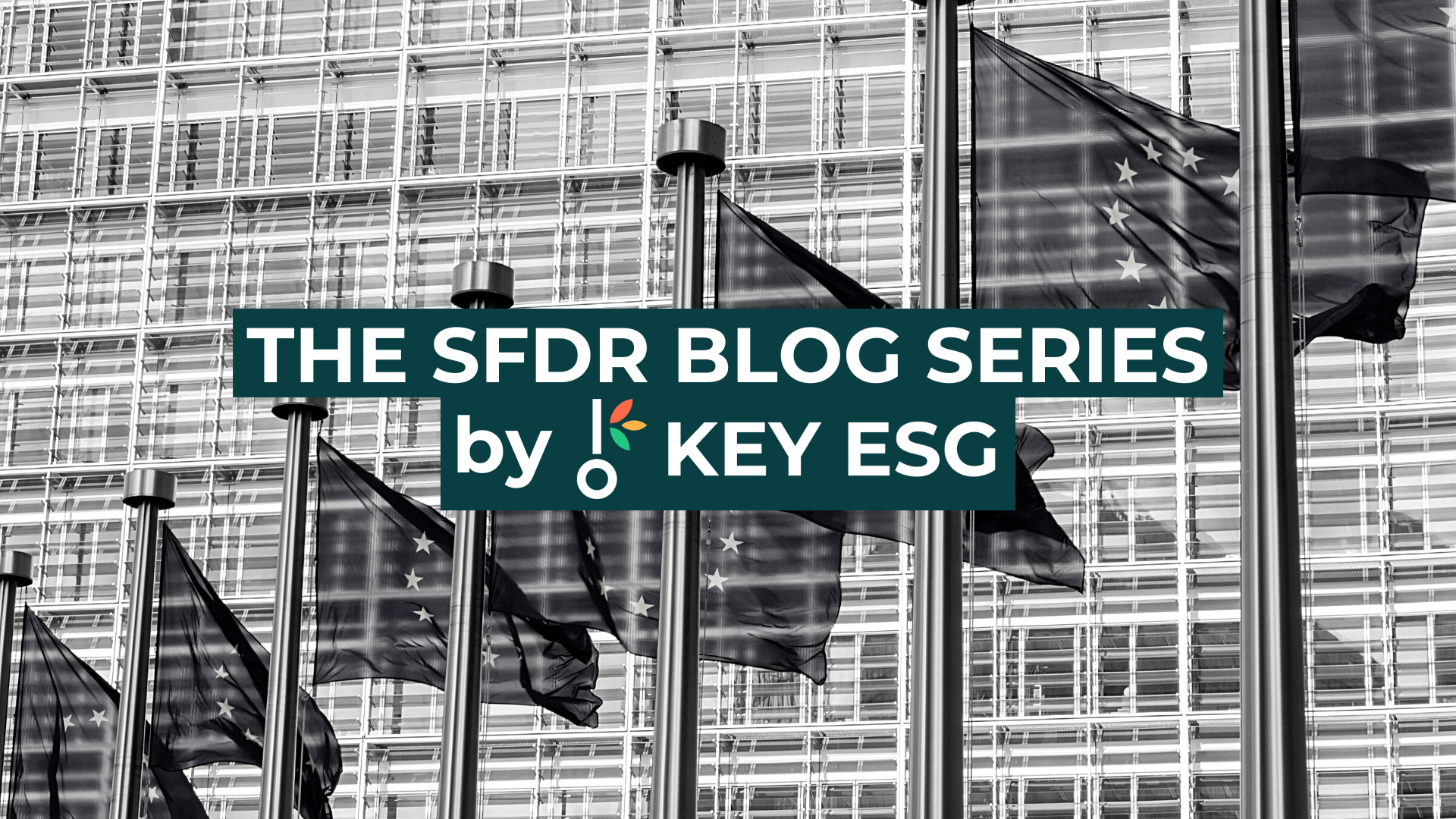 Our experts outline everything you need to know about SFDR