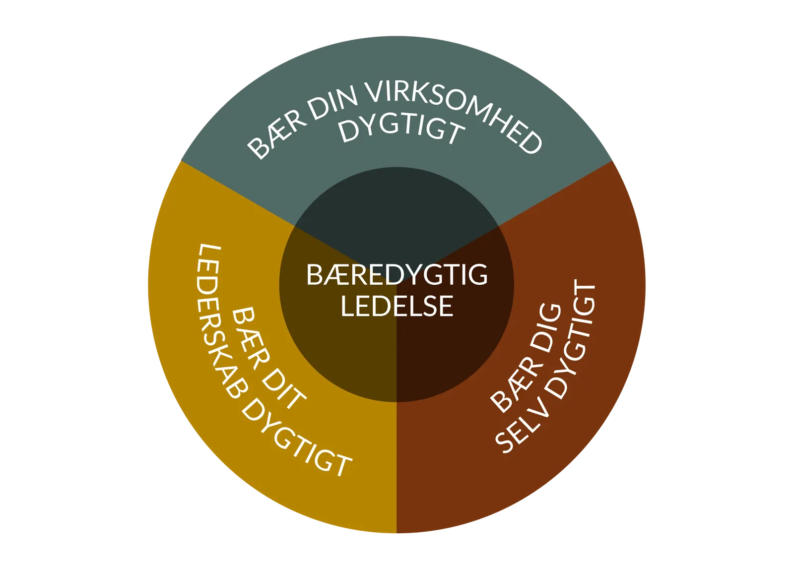 Mestrer du bæredygtig ledelse? Her er 3 dimensioner, du skal kende til