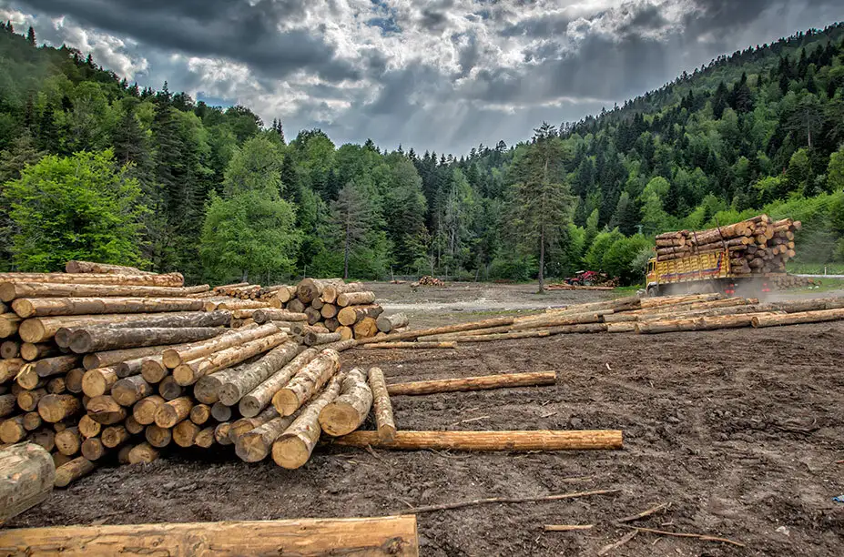 The G in ESG | Avetta