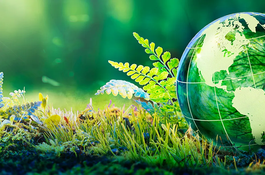 Turning sustainability goals into data-driven action | Avetta