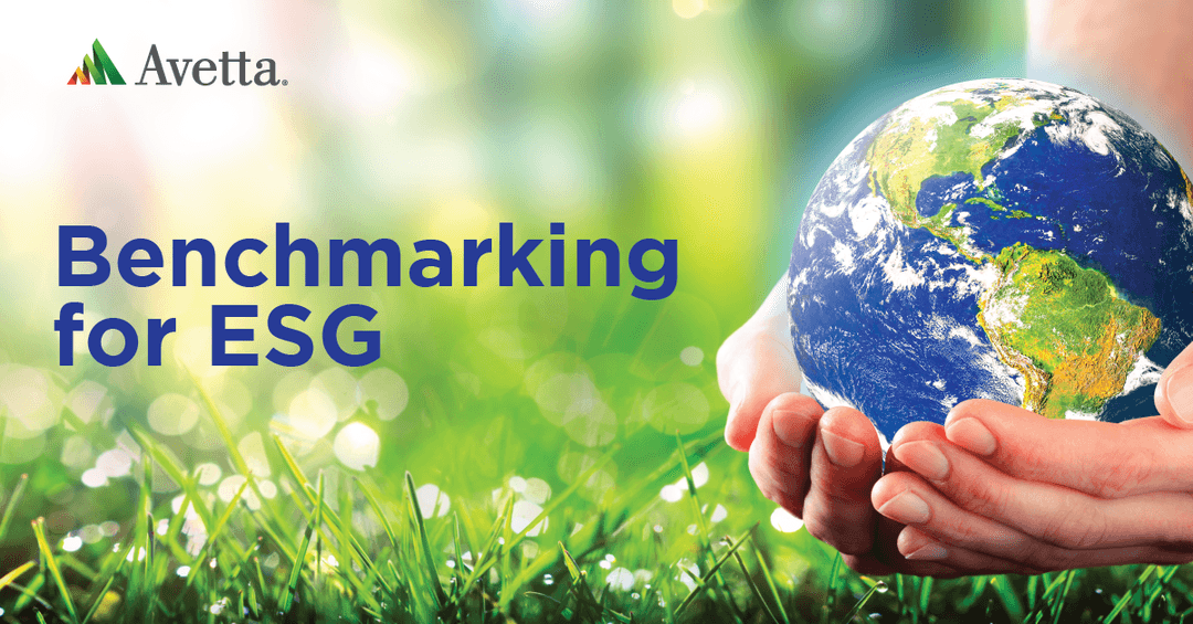 Benchmarking Organizational Commitment to ESG | Avetta