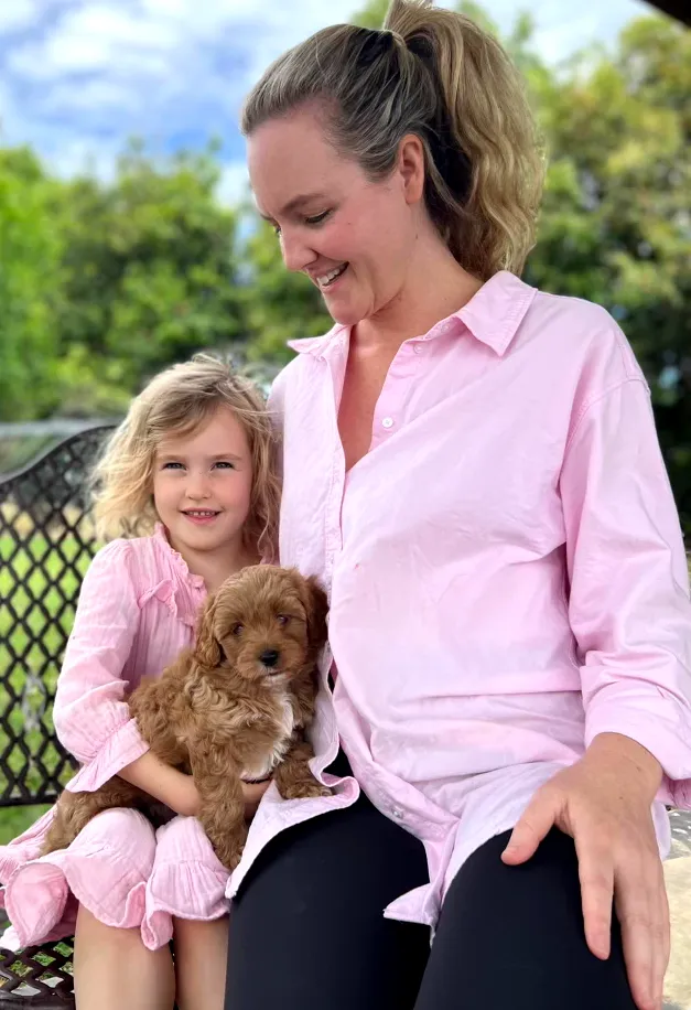 Spring Pastures Puppies Spoodle & Cavoodle Breeder
