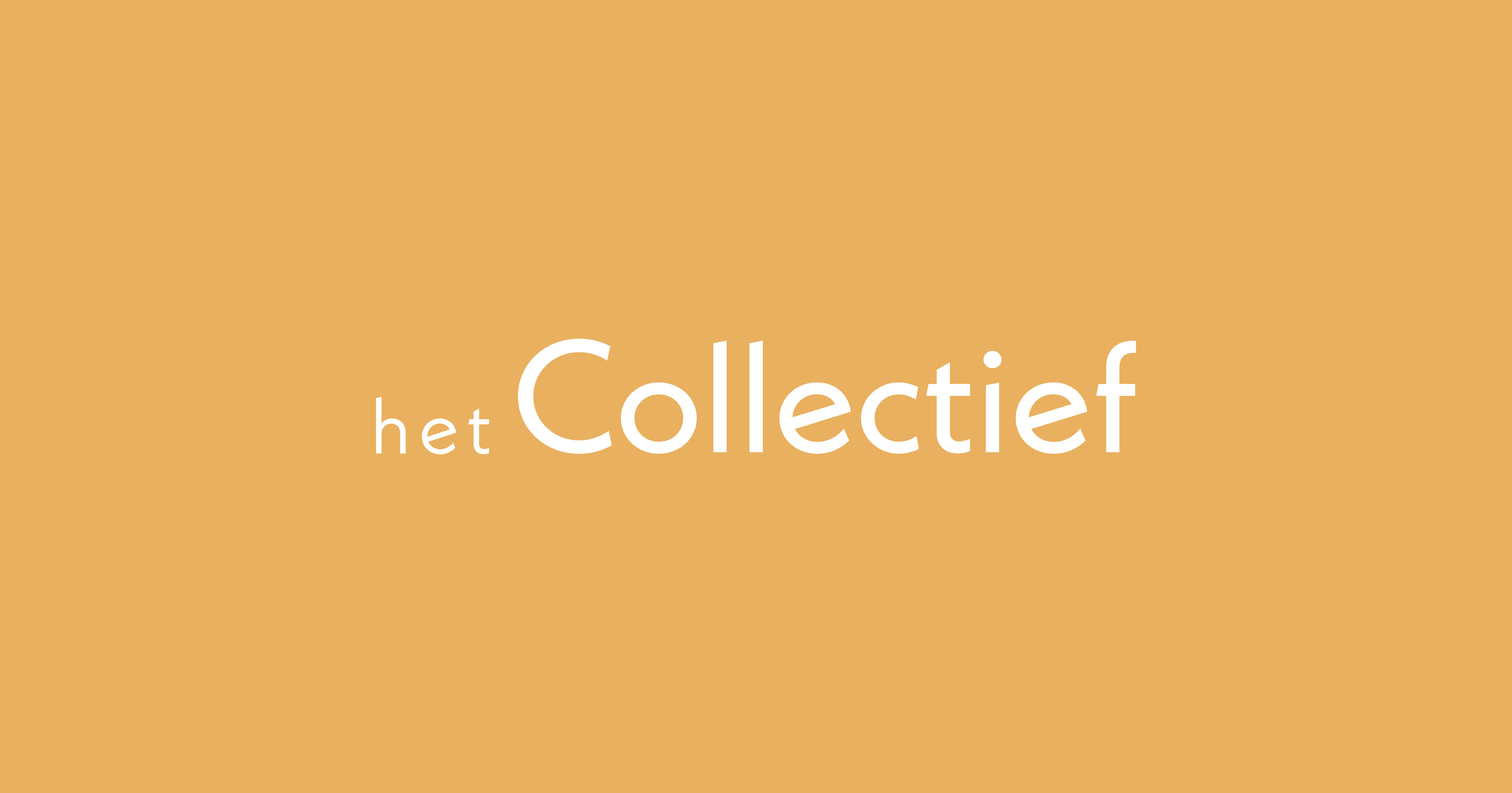 het Collectief | Agency & Management