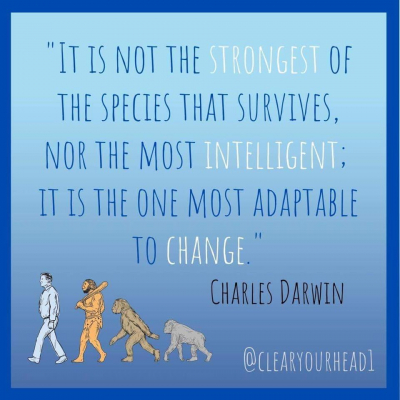 THE MOST ADAPTABLE TO CHANGE