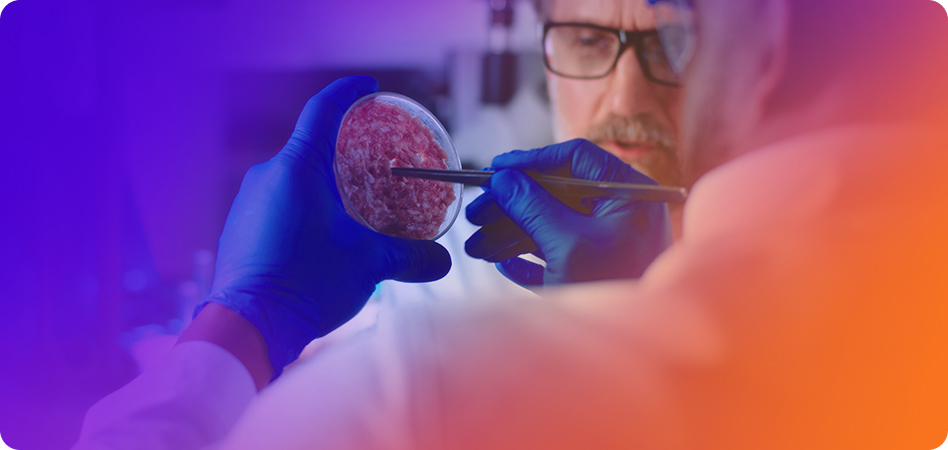 Guide to Digital Transformation