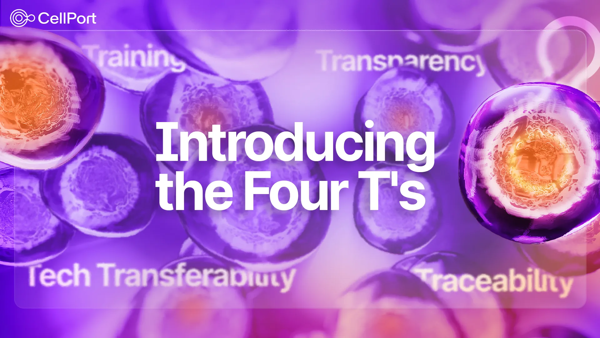 Introducing the Four T's | CellPort