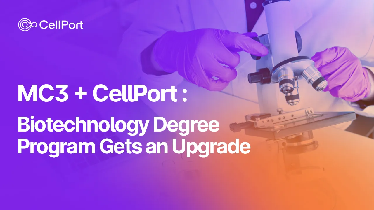 Cellport (new)