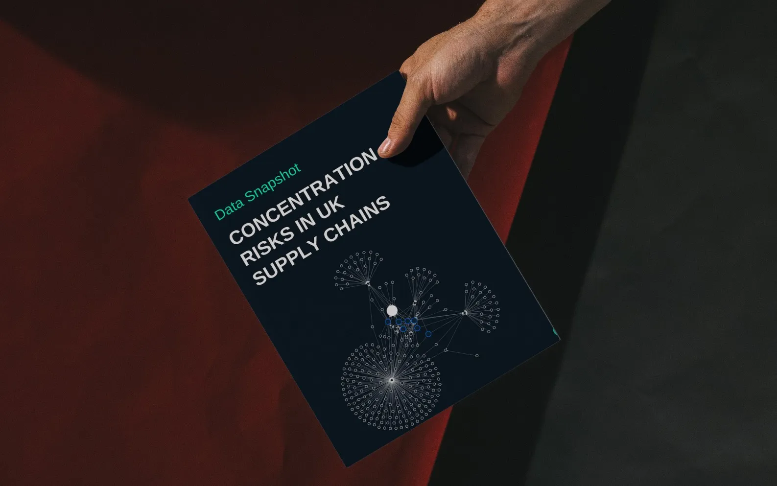 Uncovering Concentration Risks in UK Supply Chains: Data Snapshot ...