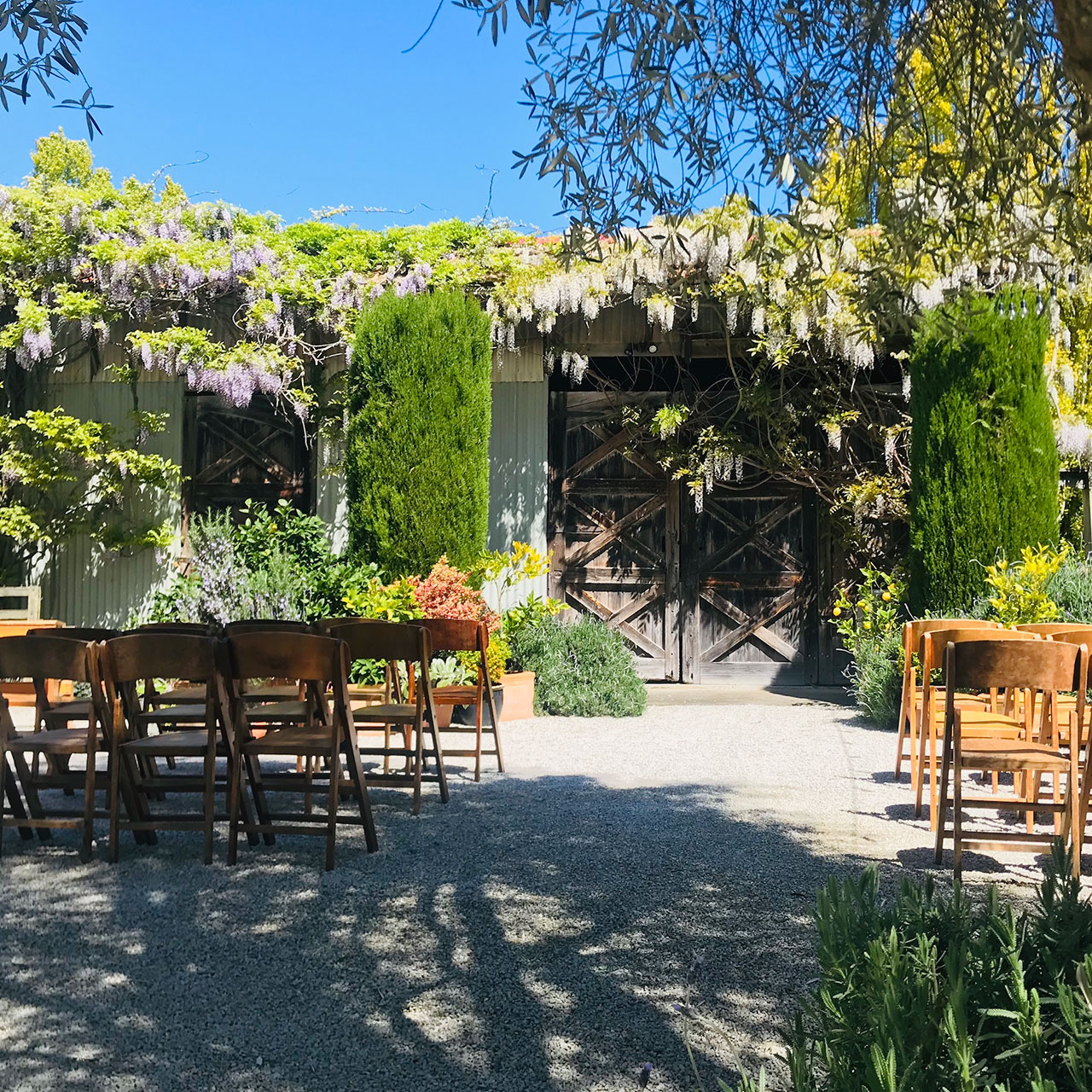 Cossars Wineshed | Home