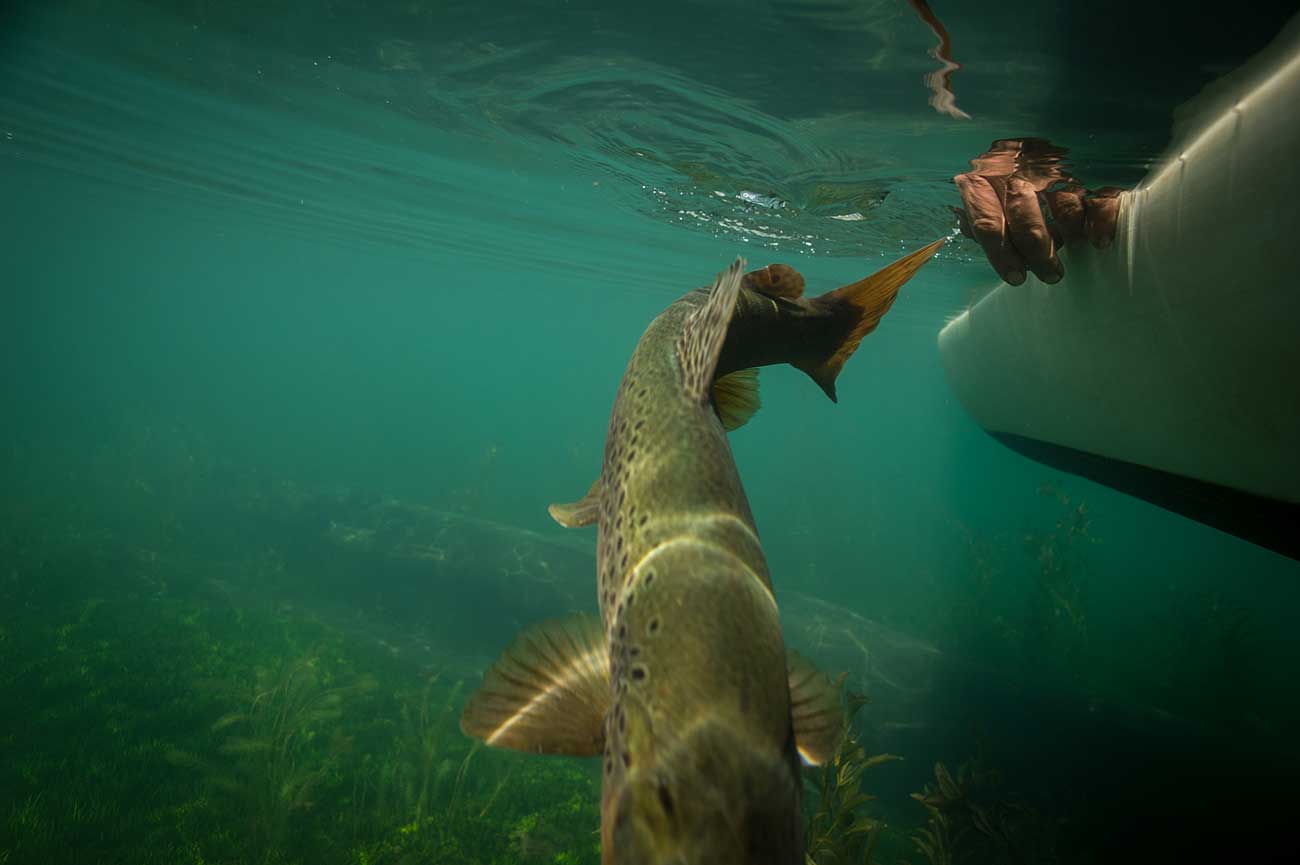 Flylab: Fly-fishing gear reviews, exclusive membership