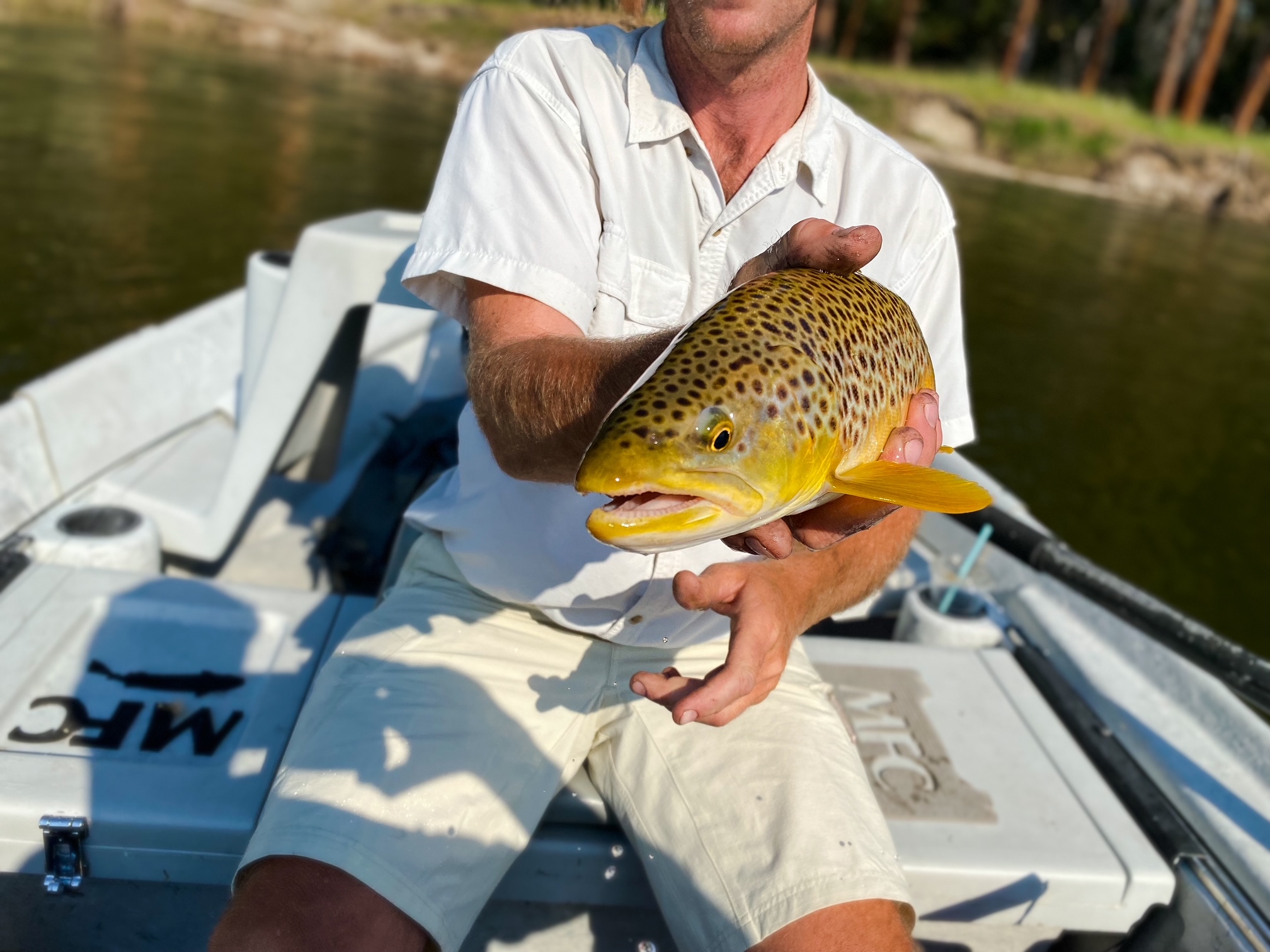 Stack Mending for Longer Fly-fishing Drifts