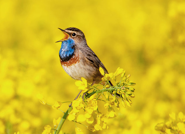 Twitter Tips: Crafting The Right Tweet — SHIFT Communications