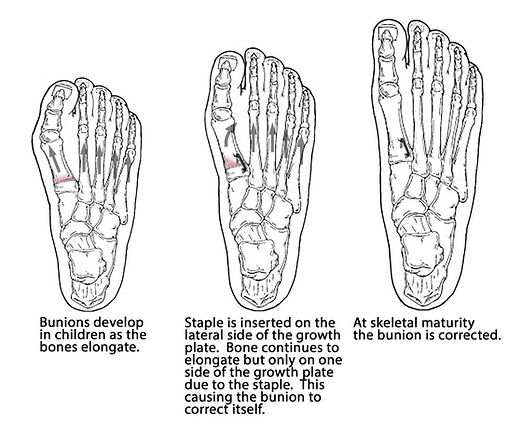 Gulf South Foot and Ankle
