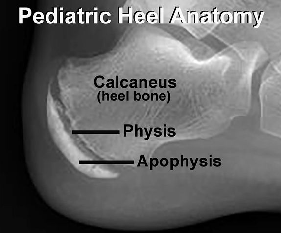 Gulf South Foot and Ankle