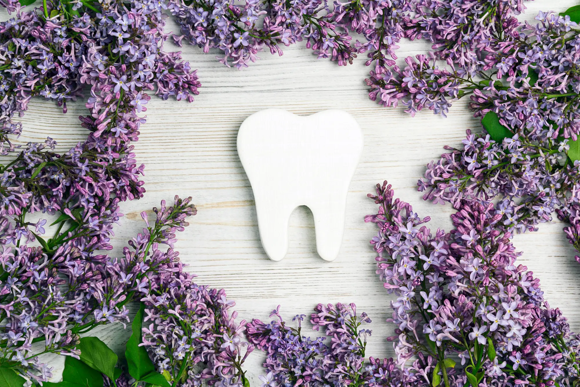 About | The Smile Den