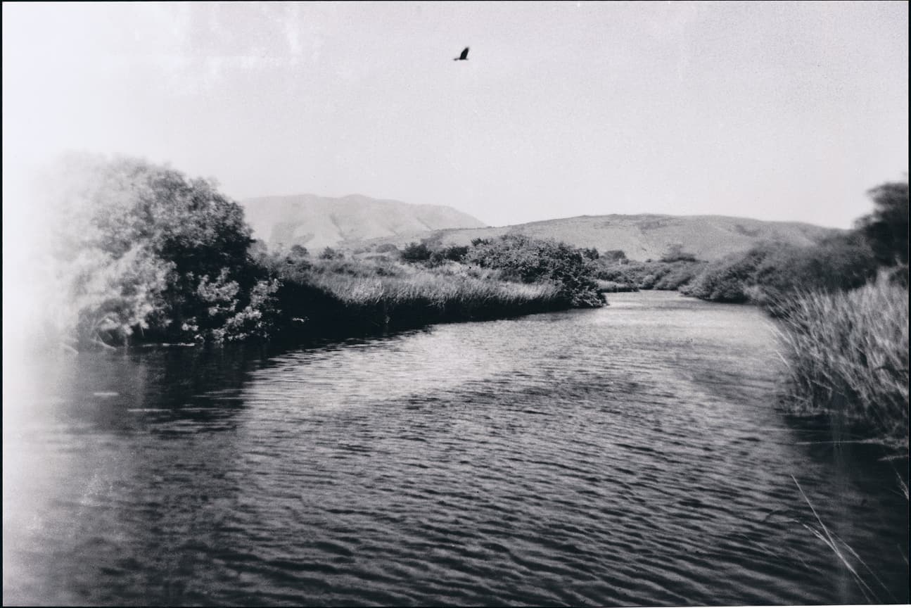 A Celebration of Connecting through Prose, Poetry, and Art