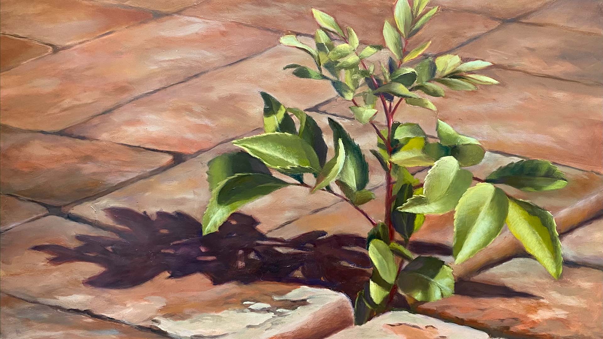 Welcome to Commonweal