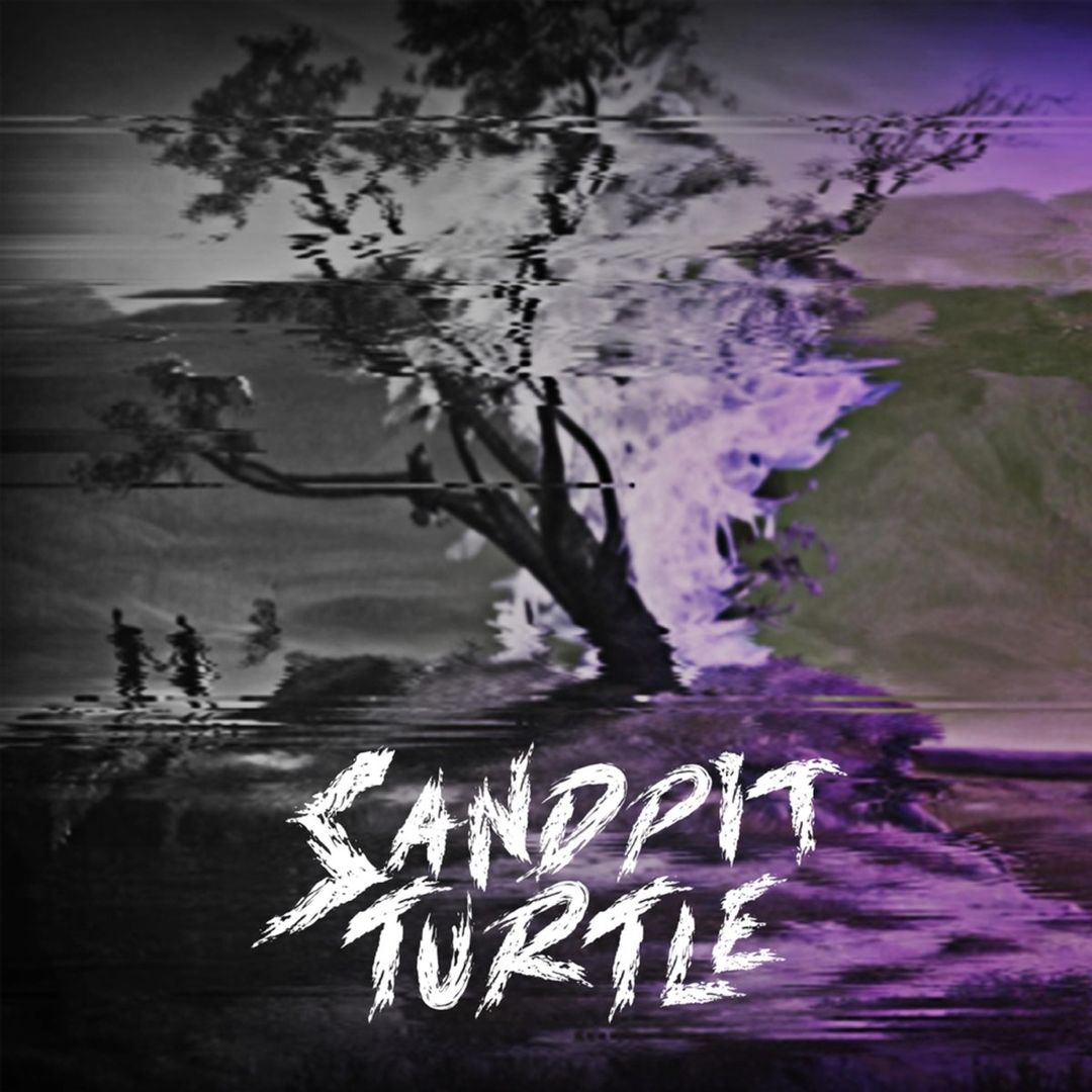Sandpit Turtle