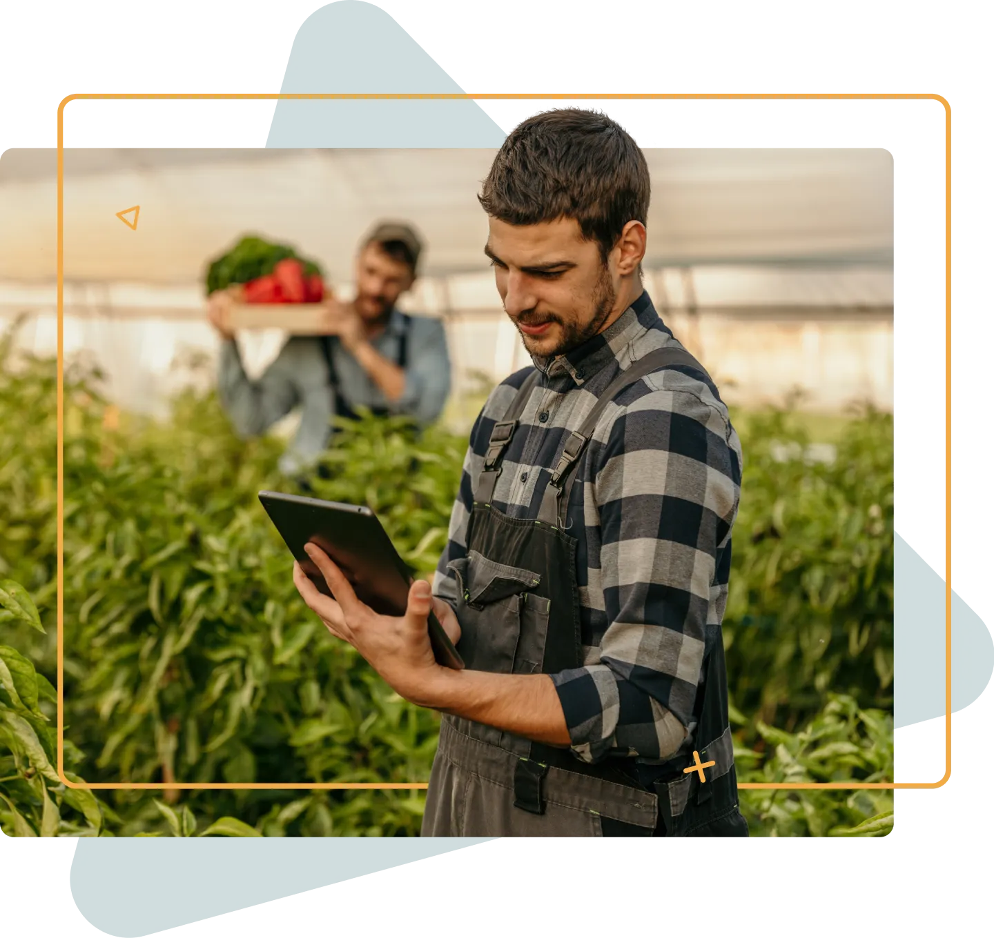 MDS Data Services by iTradeNetwork