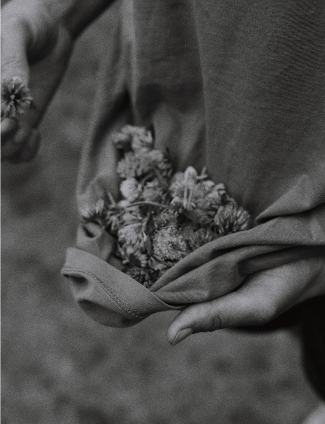 Ingenio - A modern compass for navigating this new era of awakening