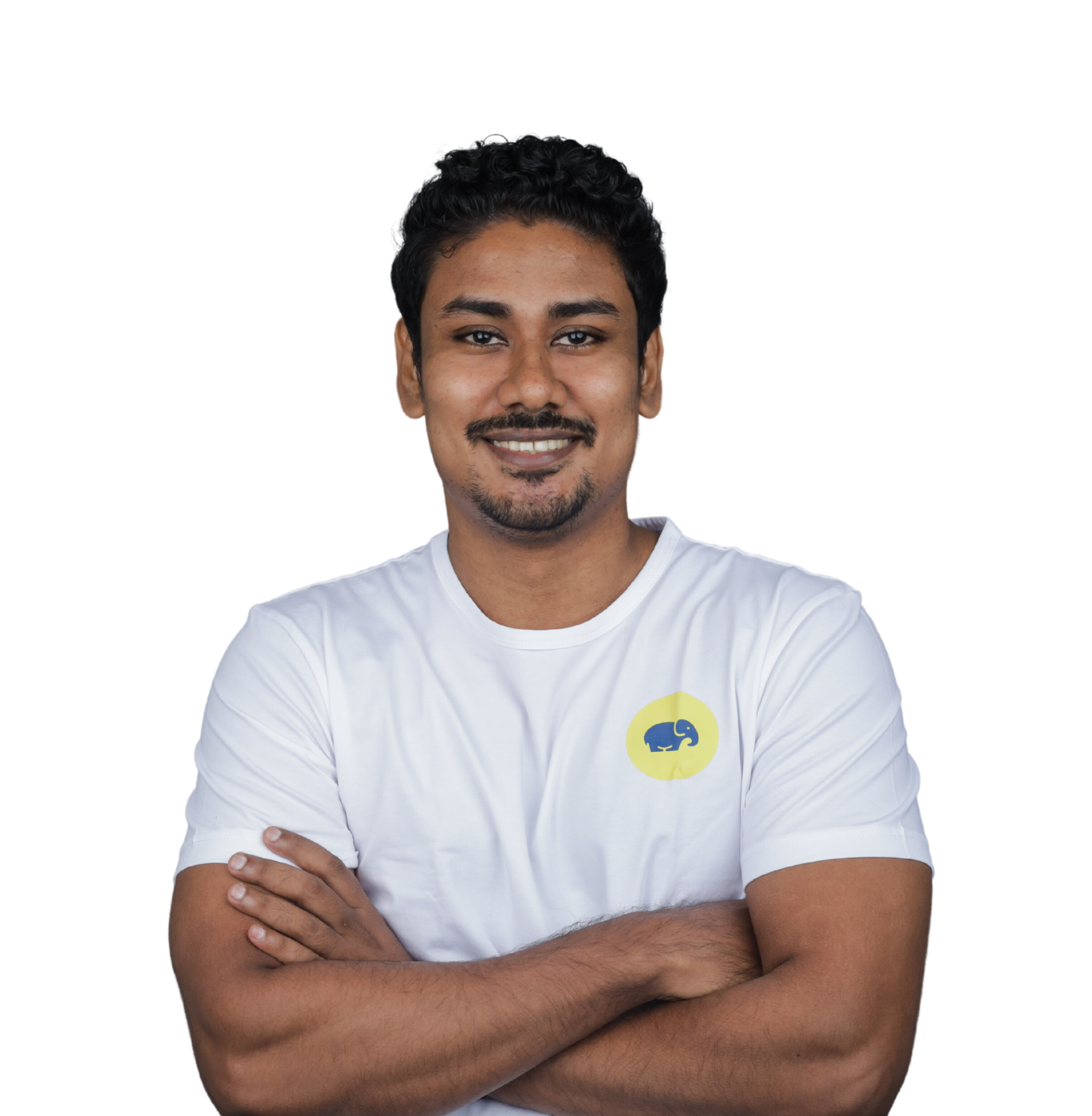 Elephant Teams - Aruna Viduranga