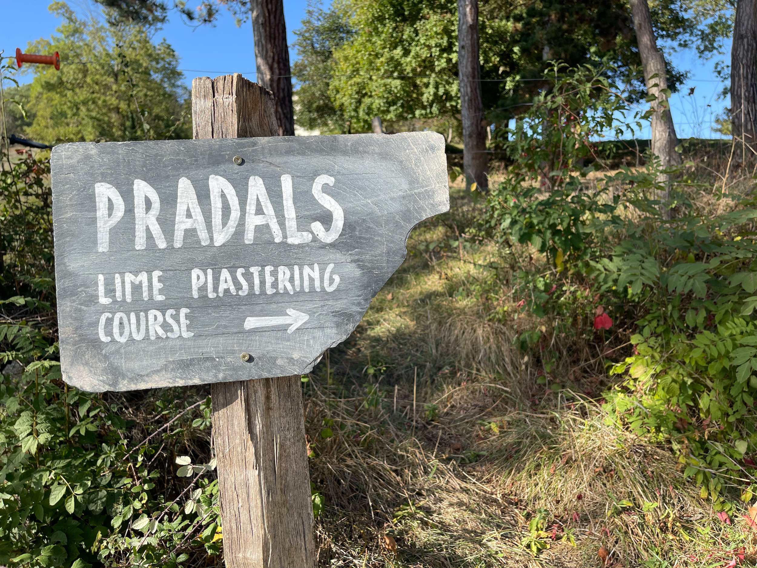 Plaster Diaries | Parlez-vous "Platre?"