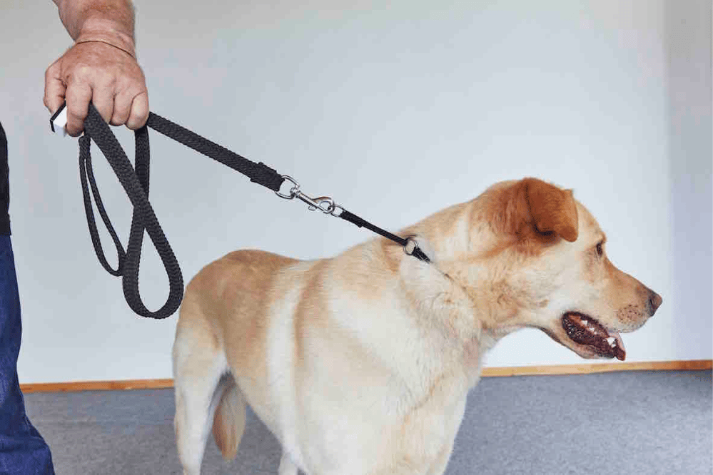 Joining up - Startuper X - Webflow Ecommerce website template