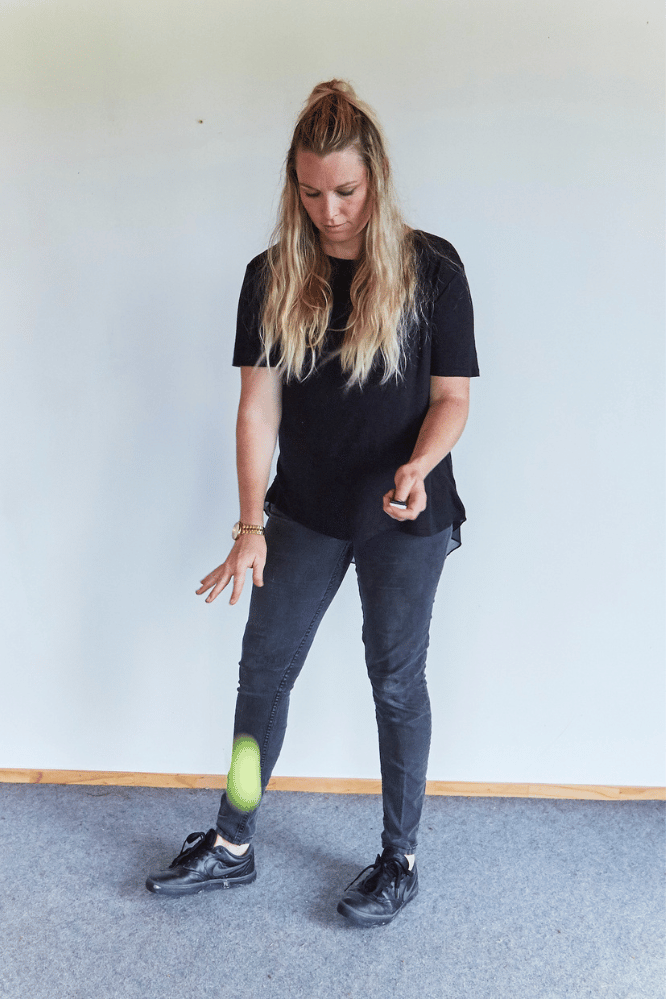 Clicker training 101