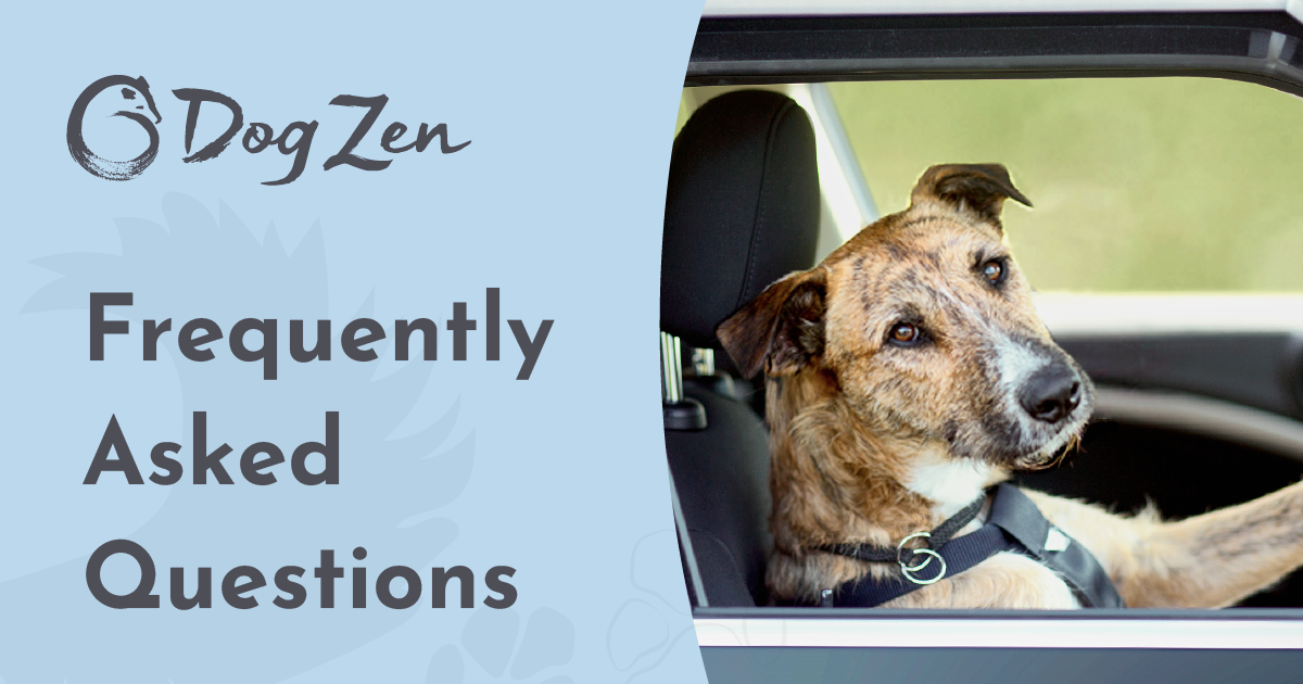Frequently asked questions | Dog Zen