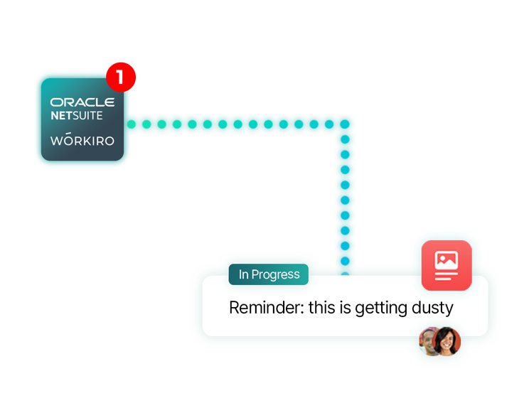 See The Full Picture During Netsuite Projects Workiro