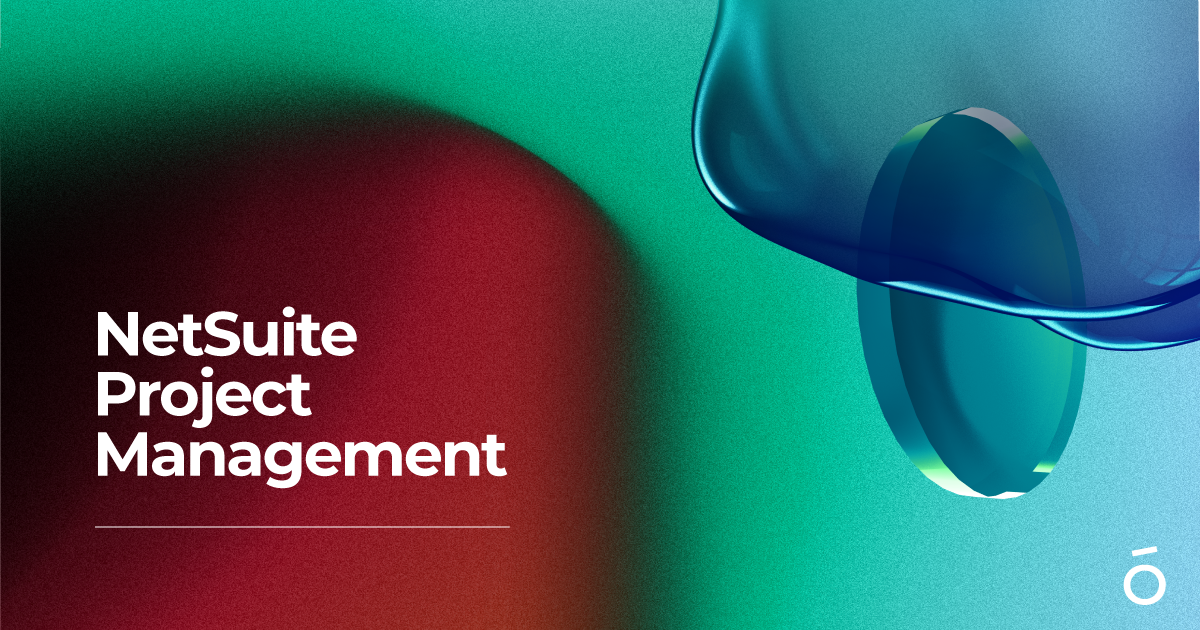 See The Full Picture During NetSuite Projects | Workiro