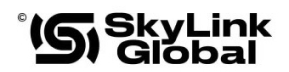Skylink Global