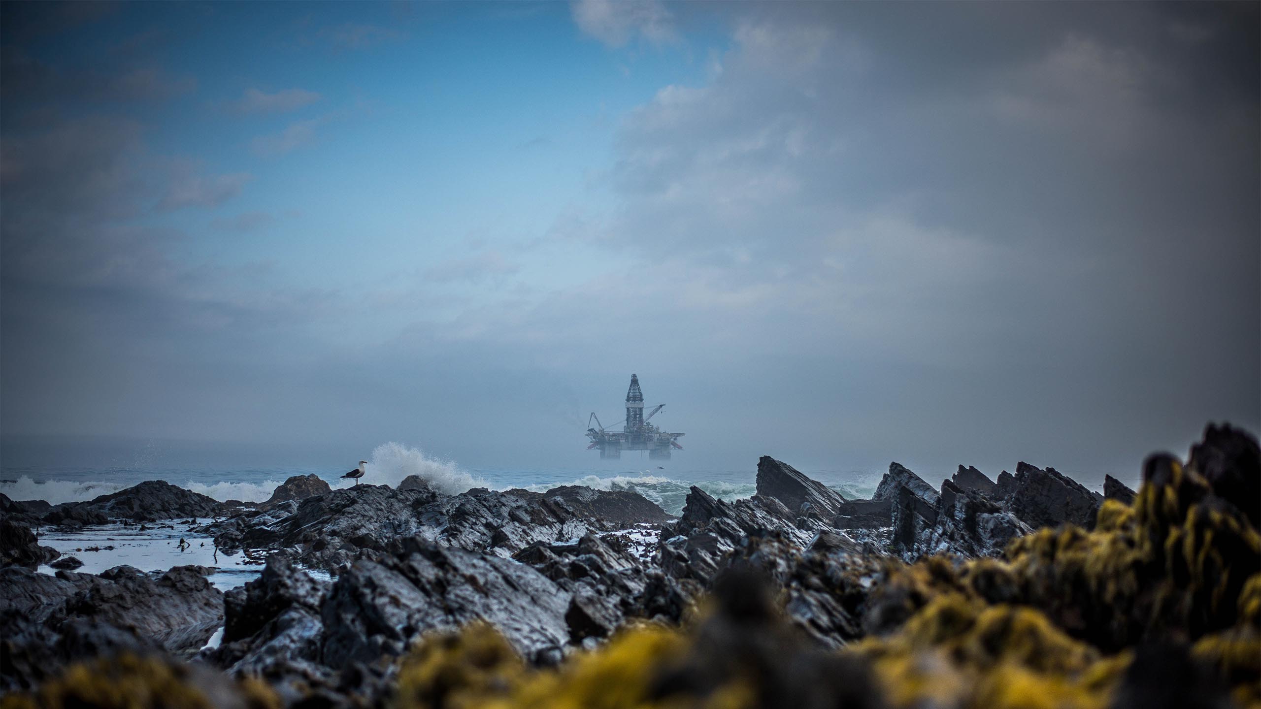 Offshore Oil & Gas - Energy - Tethys Robotics