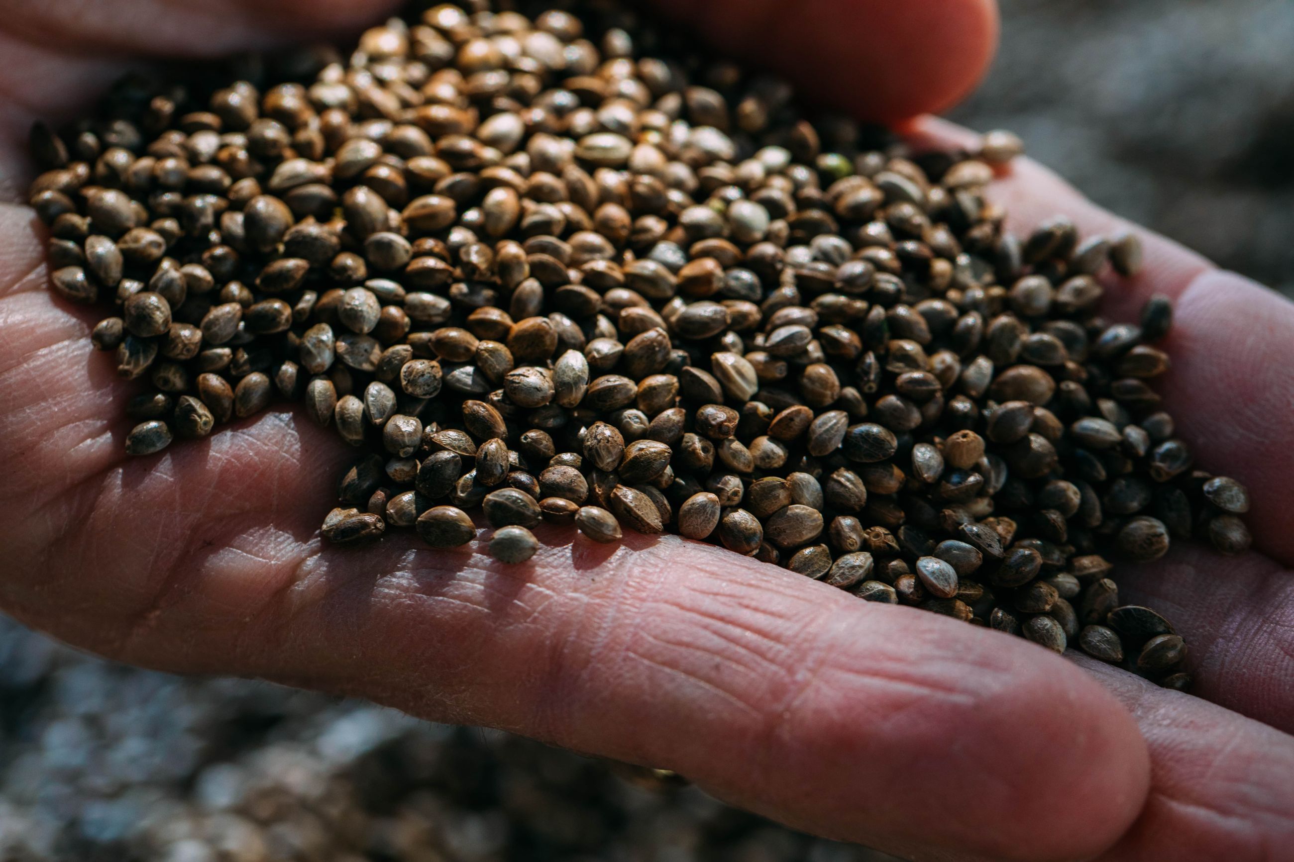 Earthside | Changing The World 1 Acre At a Time