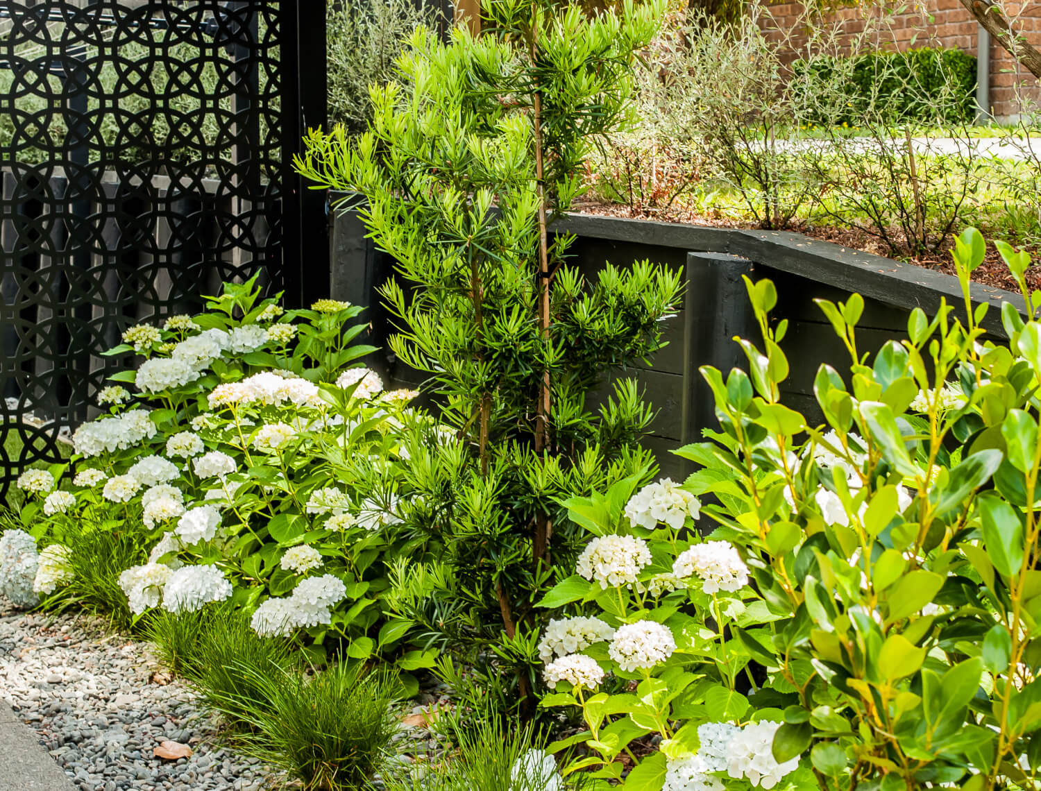 Groundcover Landscaping Services | Hamilton NZ