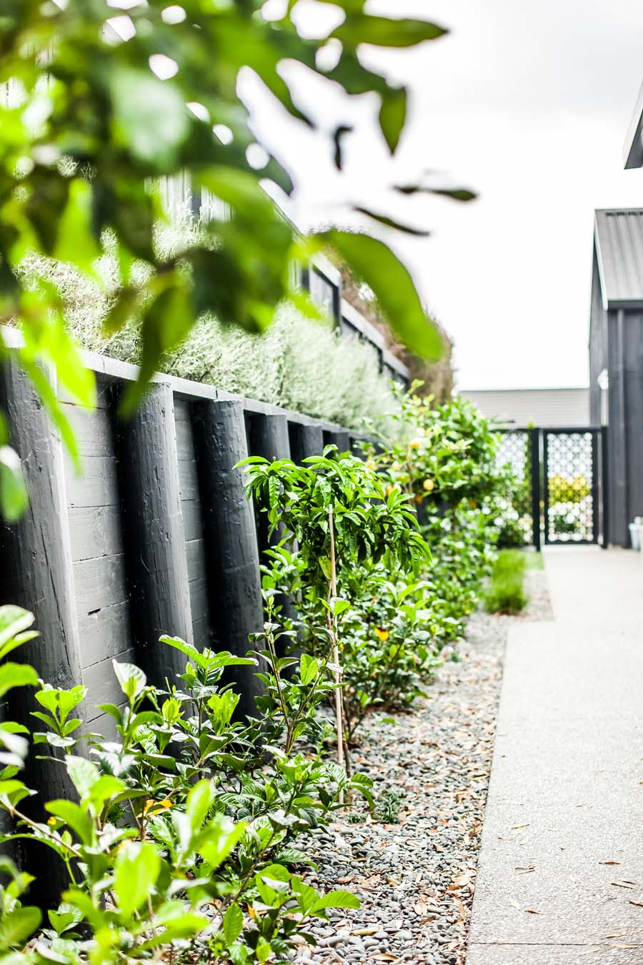 Riverside Lane | Groundcover Landscaping