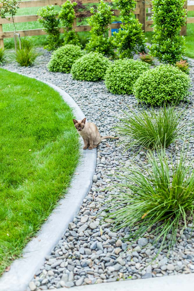 Groundcover Landscaping: Waikato Landscaping Company