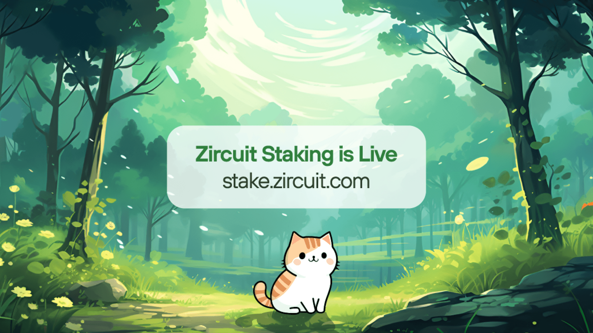 Zircuit Staking is Live! | Zircuit