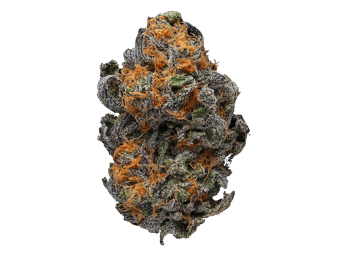 Best Online Weed Dispensary in Canada - Clearance Weed in Ottawa