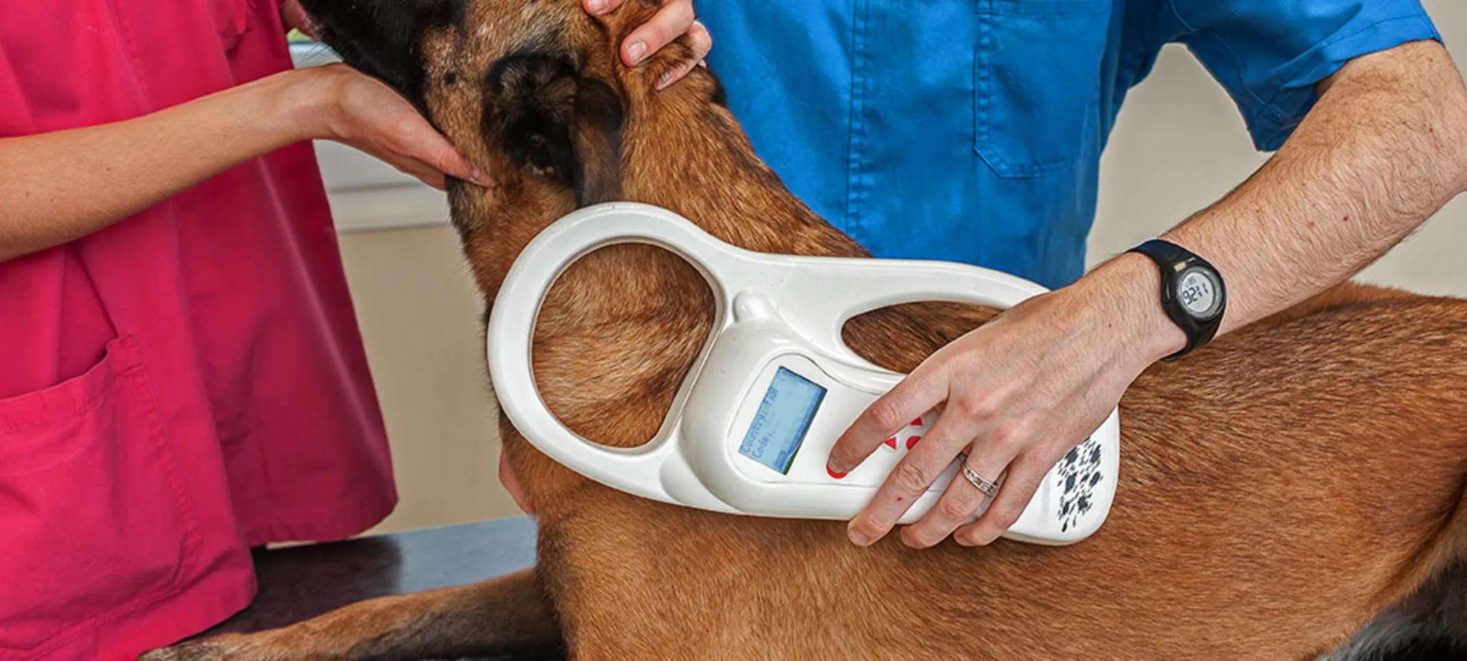 Microchipping process and procedure