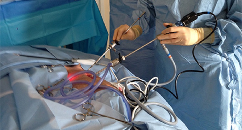 Minimally invasive surgery veterinary